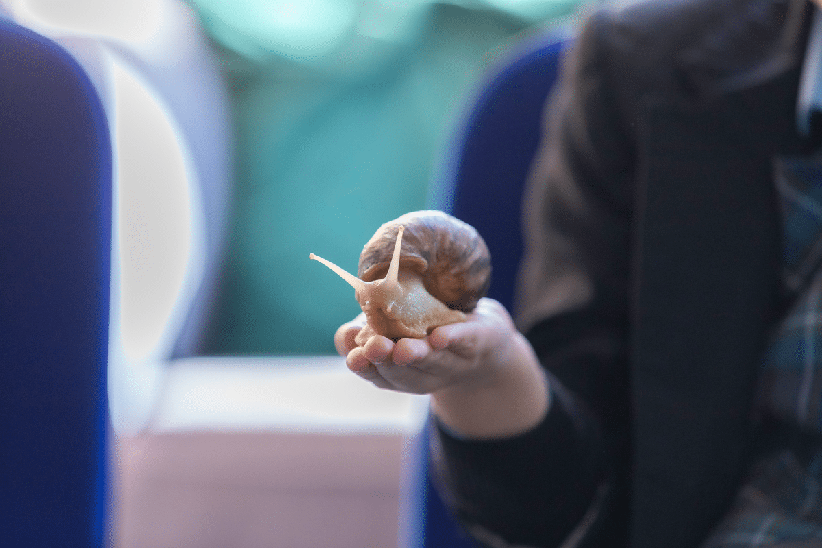 They learnt lots of fascinating facts about these amazing animals.